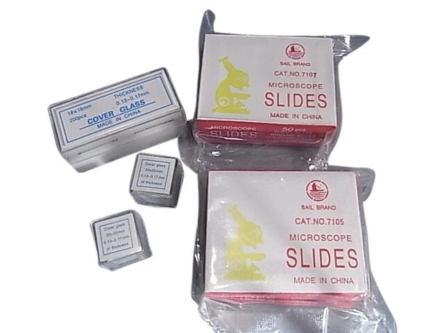 Slides ~50 Pack - Plain 76mm x 25mm (0.8-1mm thickness) – Science with ...